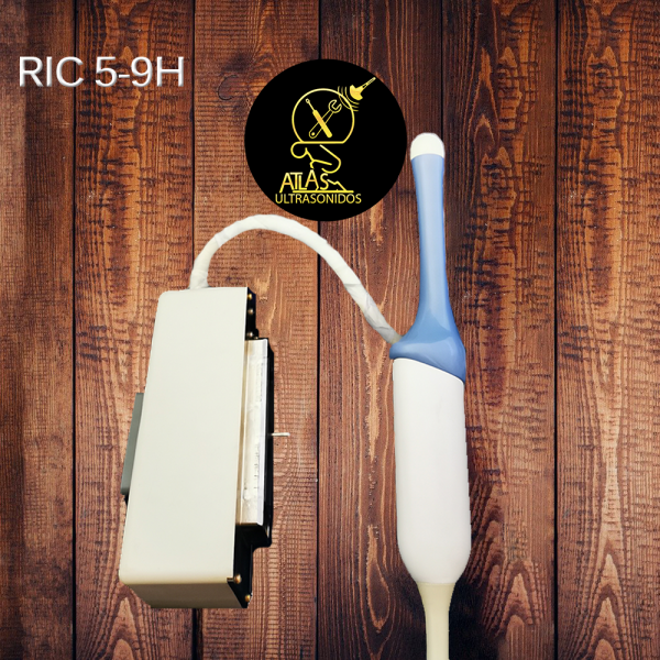 Transductor Endocavitario 2D E8C RS – Atlas Ultrasonidos.